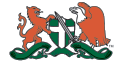 eBallot